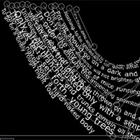 Gedichten in vreemde vormen | ZICHTBAAR ALLEEN