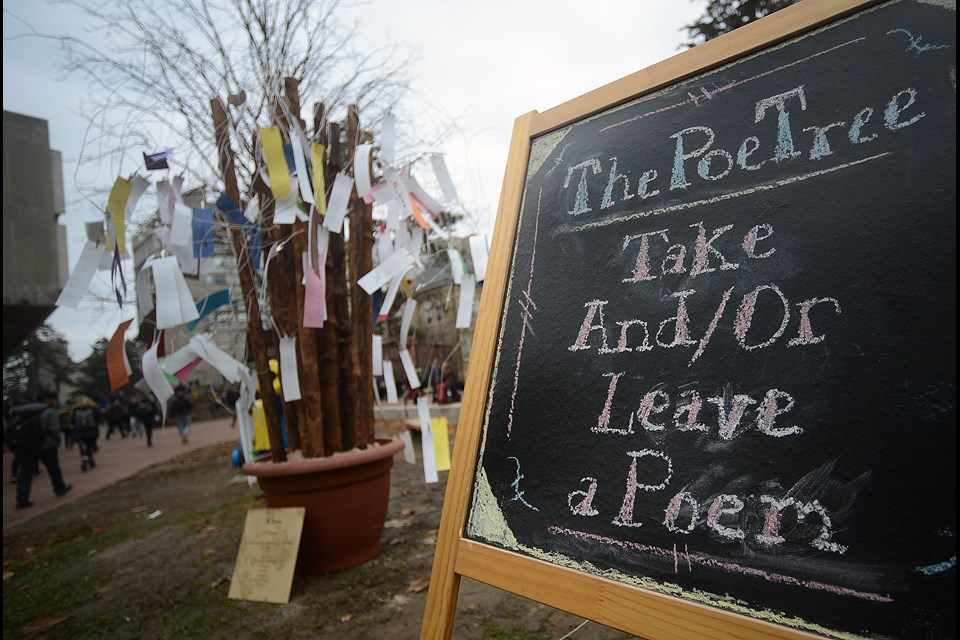 PoeTree | ZICHTBAAR ALLEEN